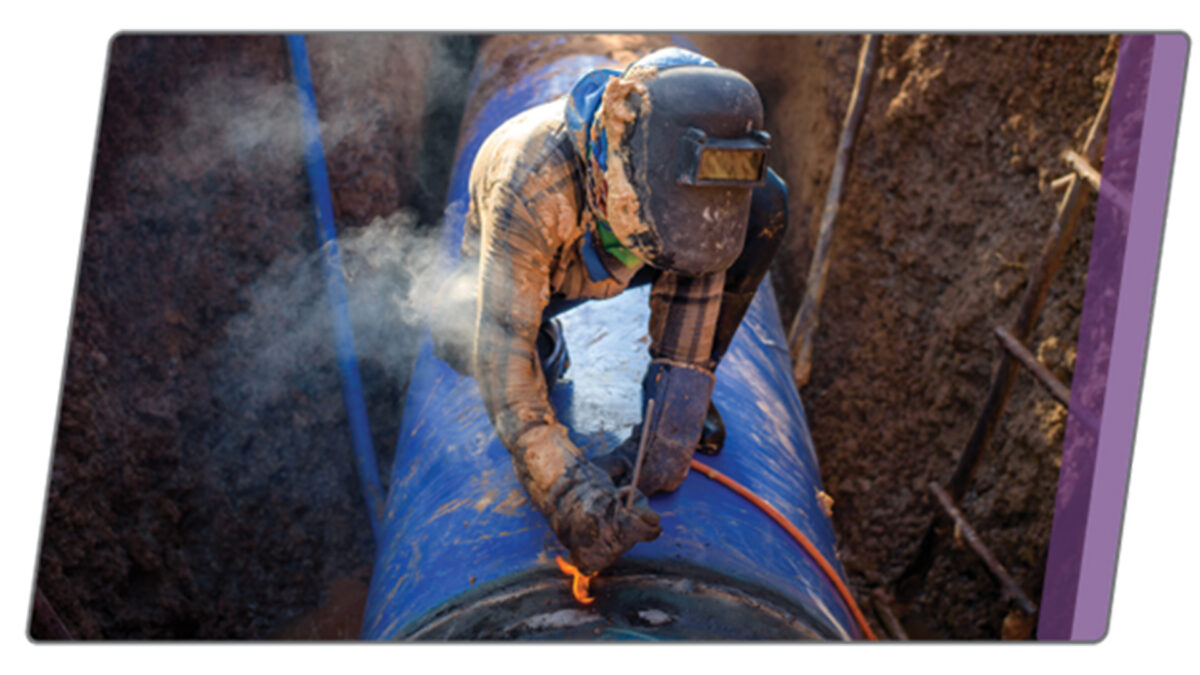 When a Single Electric Shock Reshapes a Nation's Safety Landscape ...